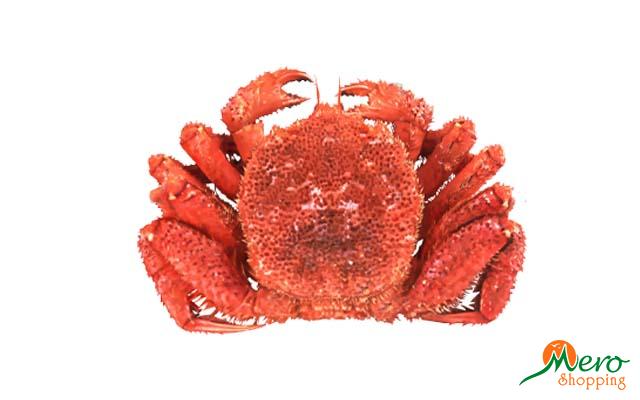 Buy Japenese Crab | Best Price at Kathmandu Nepal
