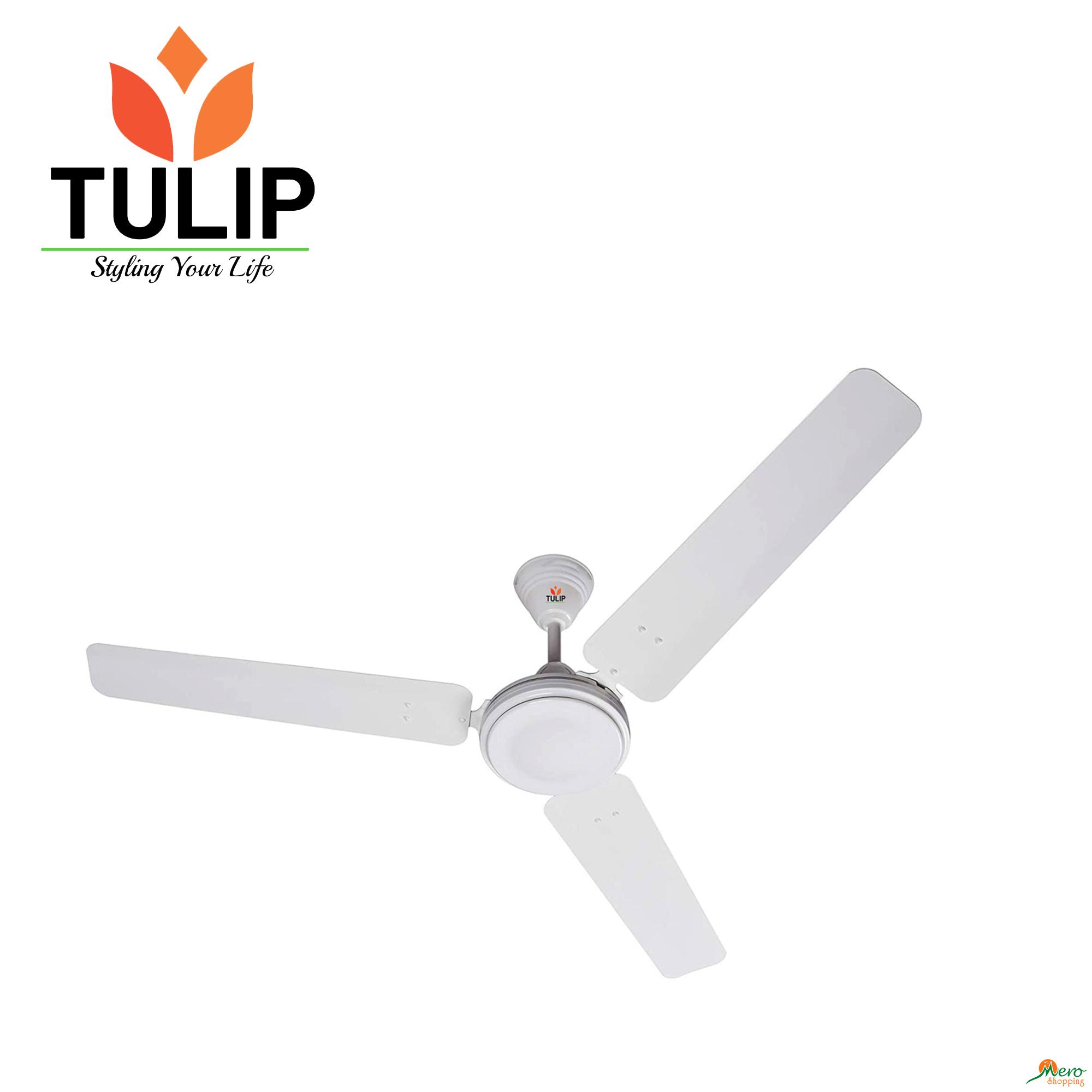 Buy Tulip Ceiling Fan A STAR-48