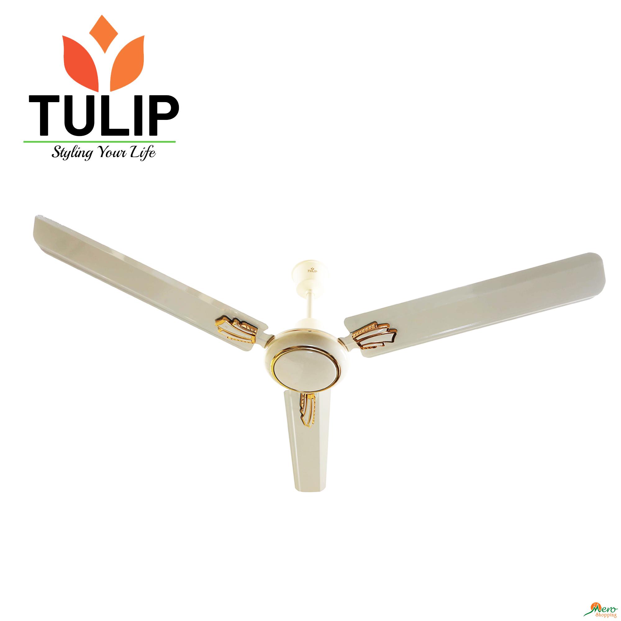 Buy Tulip Ceiling Fan SWING-48