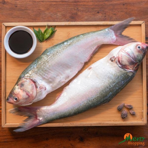 Buy Asala Fish Whole 1Kg at Kathmandu,Nepal